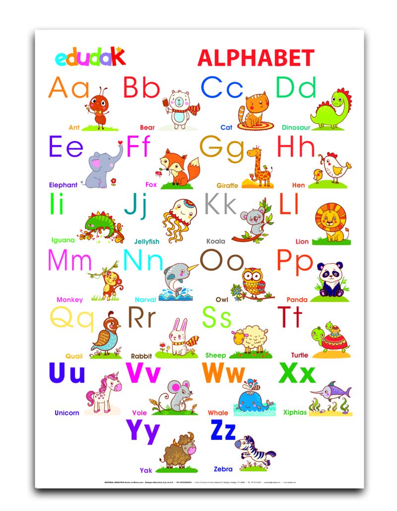 Lámina Didáctica Alphabet – Wireless Connections MX